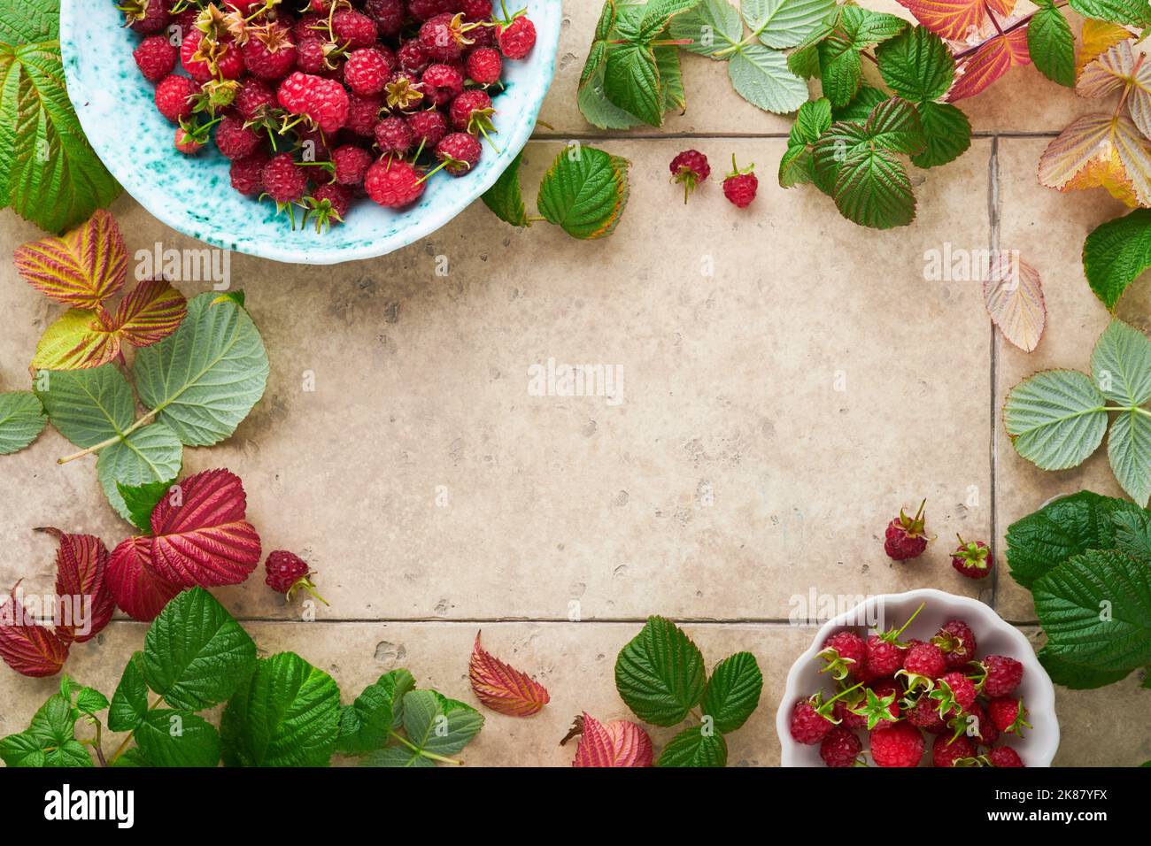 Raspberry. Branch of ripe raspberries with leaves on old concrete tile ...