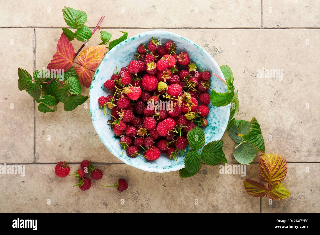 Raspberry. Branch of ripe raspberries with leaves on old concrete tile ...