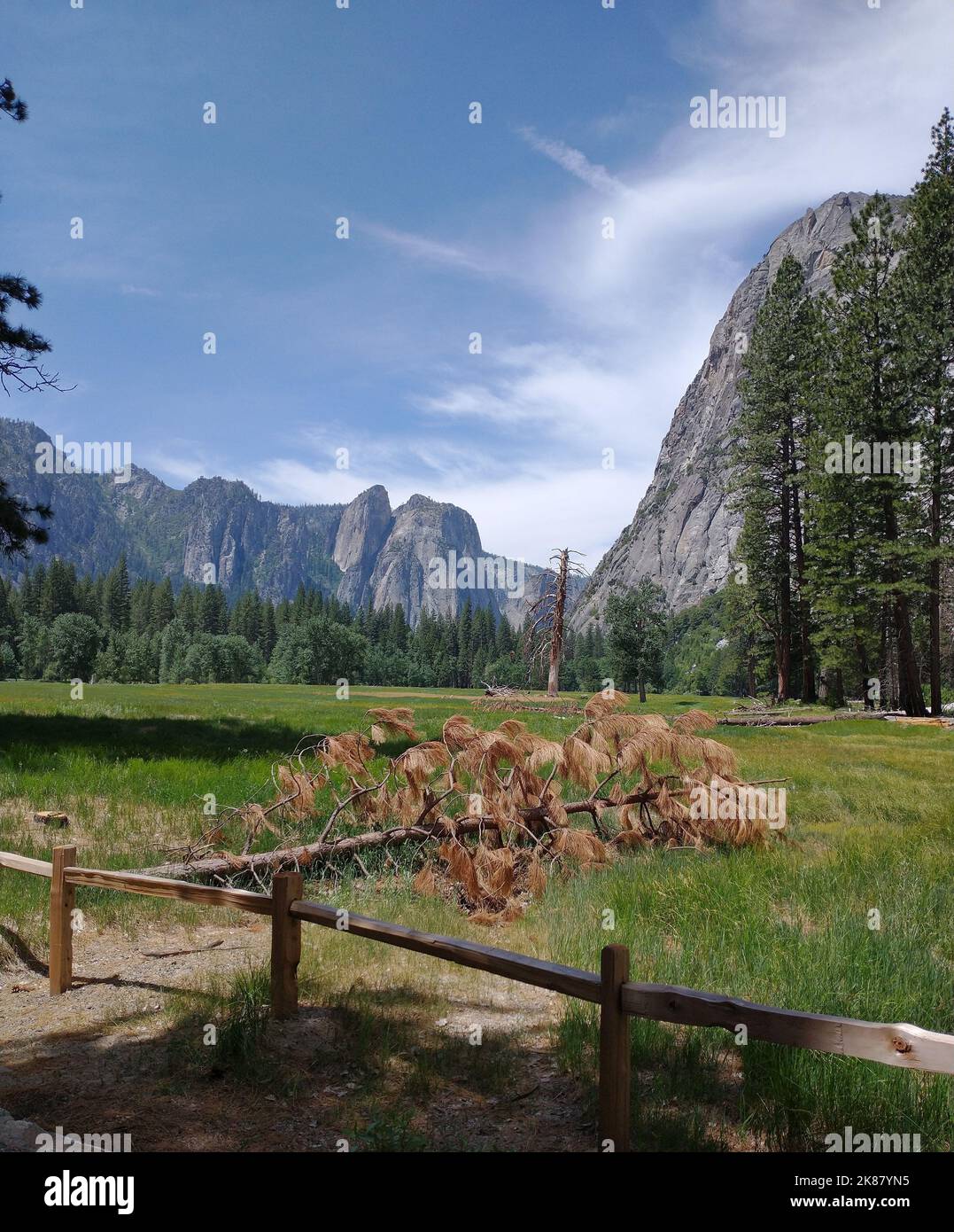 A vertical shot of Yosemite National Park's mountainous view with green ...