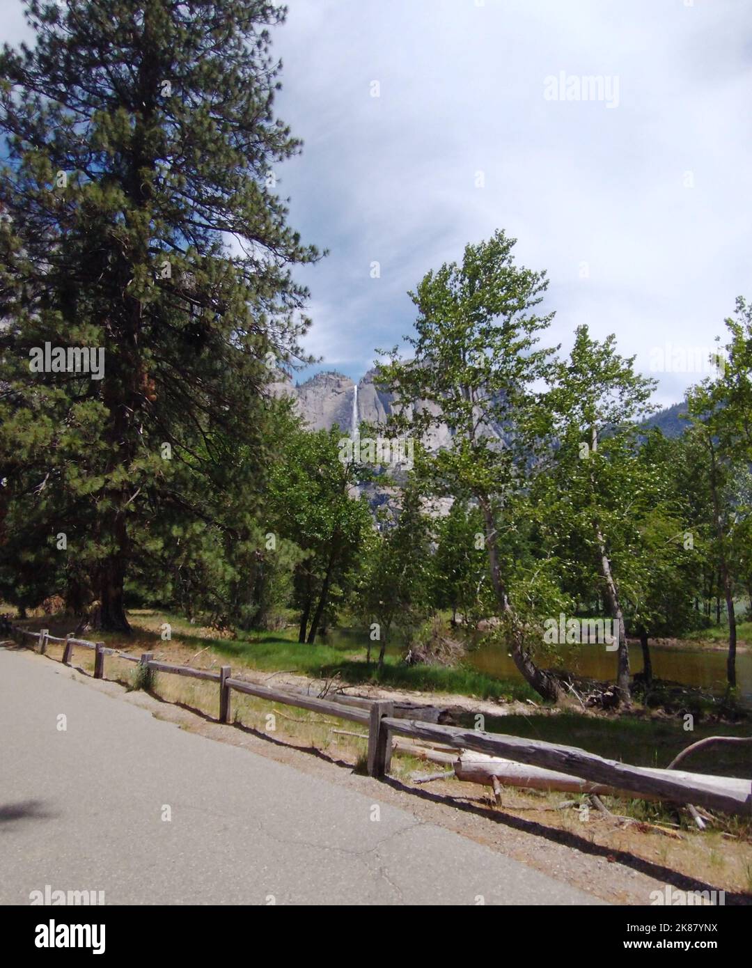 A vertical shot of Yosemite National Park's trees and mountains from ...