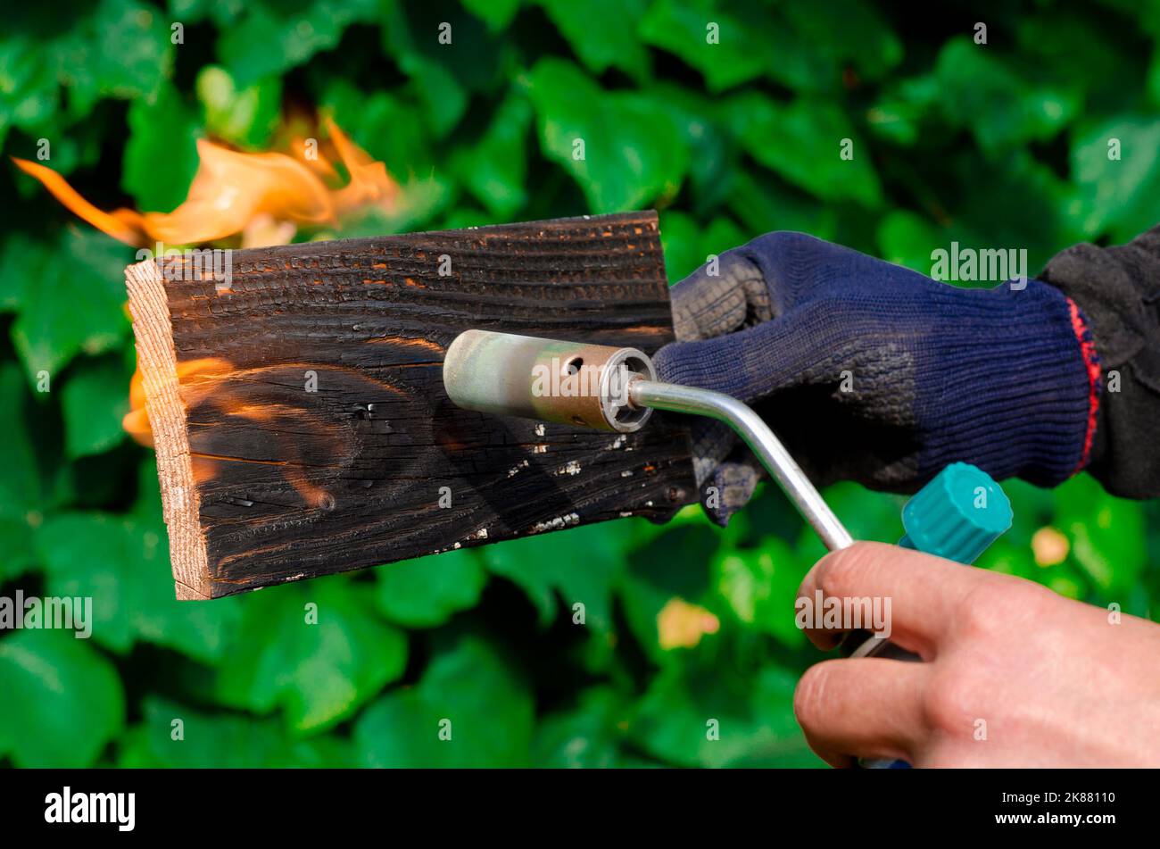 Wood treatment with gas burner fire. DIY process Stock Photo - Alamy