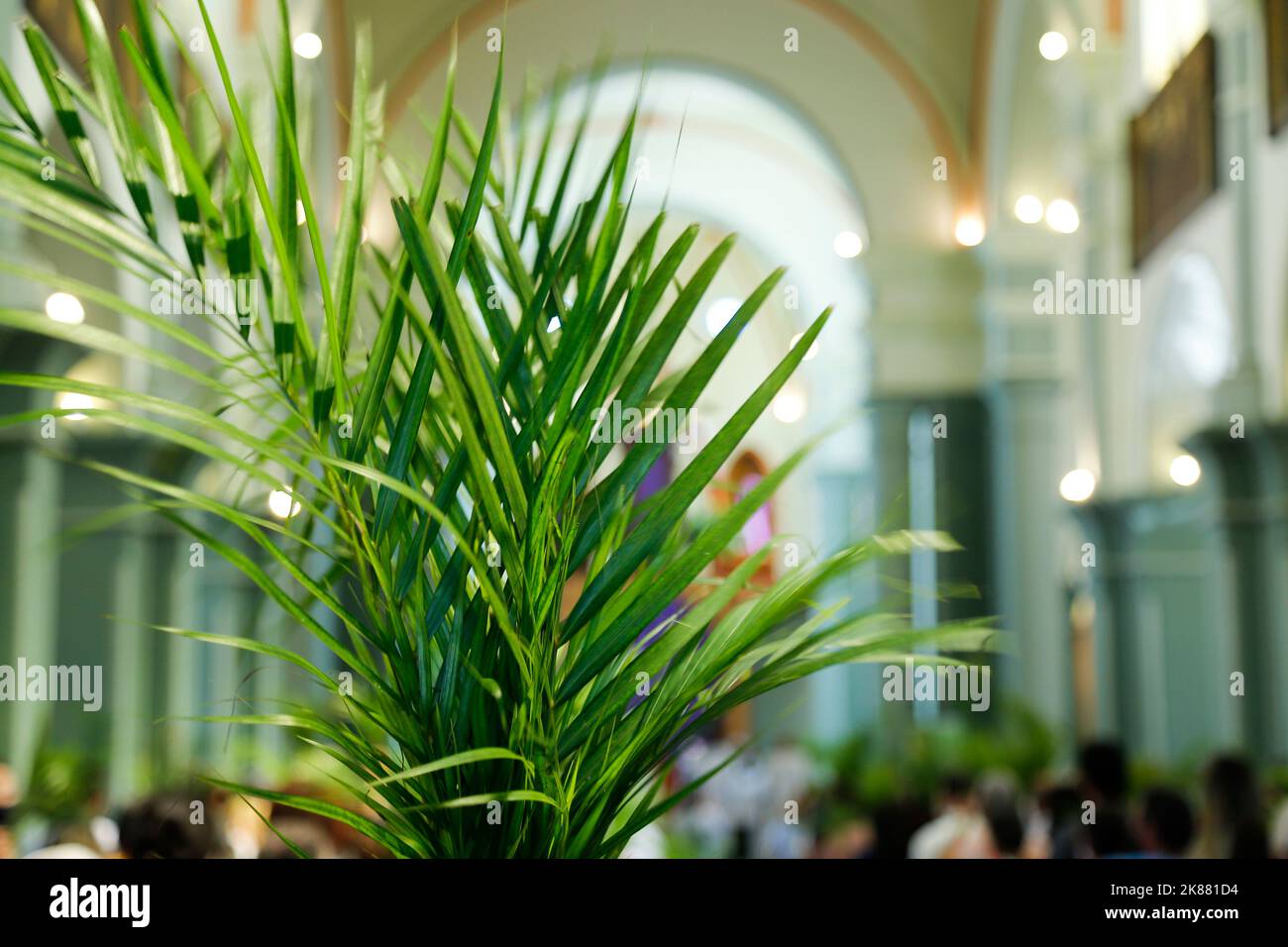 Holy Week. Detail of branches raised inside the church. Traditional Catholic celebration Palm ...