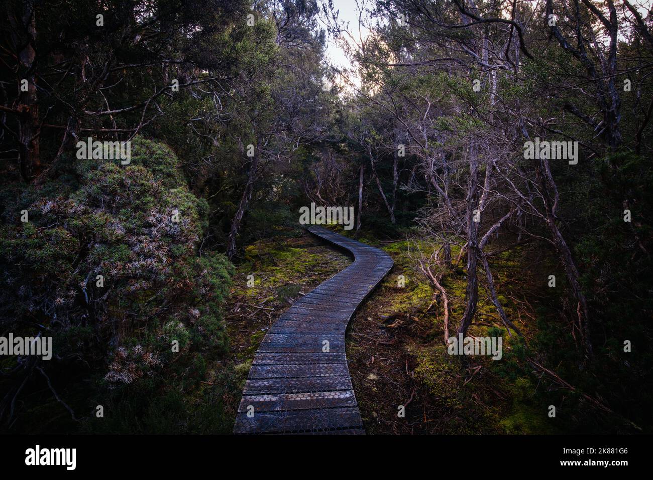 The popular Enchanted Walk and landscape on a cool spring afternoon in ...
