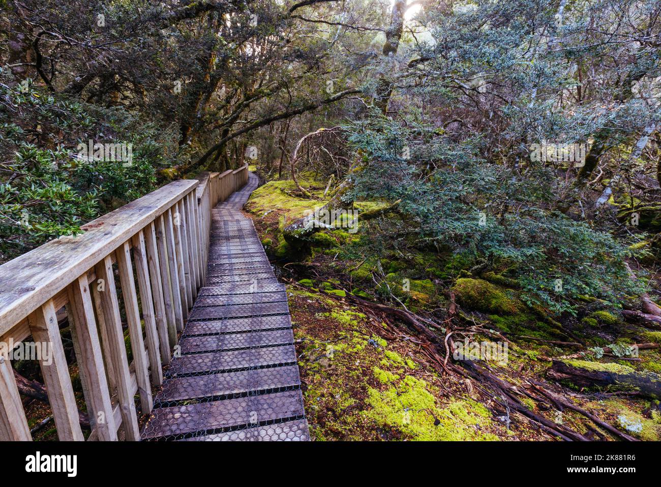 The popular Enchanted Walk and landscape on a cool spring afternoon in ...