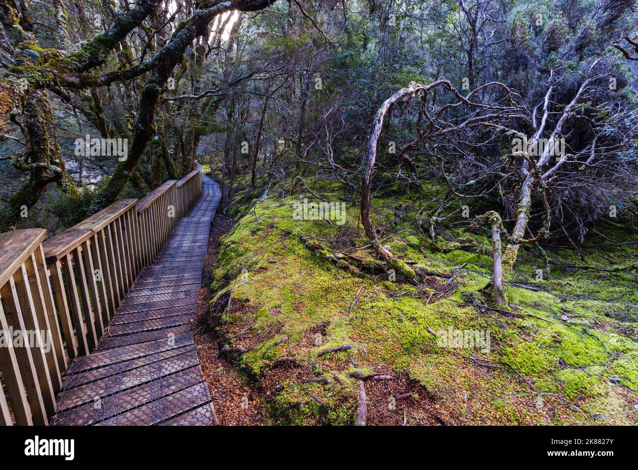 The popular Enchanted Walk and landscape on a cool spring afternoon in ...