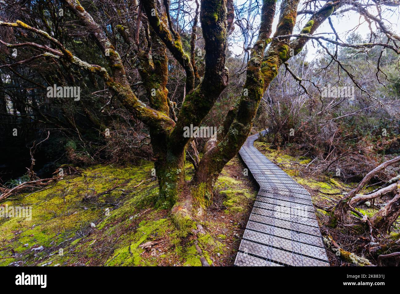The popular Enchanted Walk and landscape on a cool spring afternoon in ...