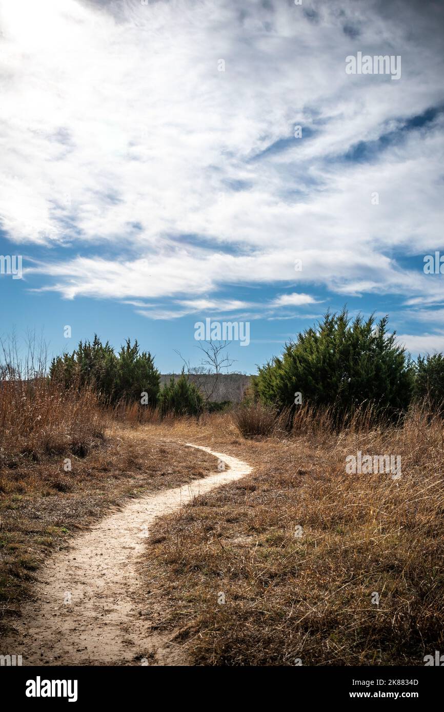 Vertical shot grass pathway hi-res stock photography and images - Alamy