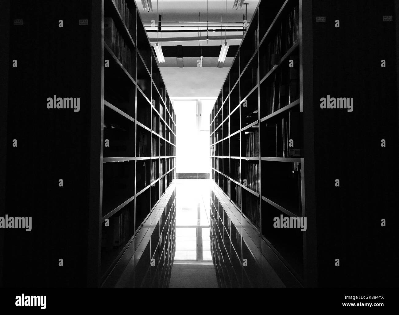 Interior dark modern library hi-res stock photography and images - Alamy