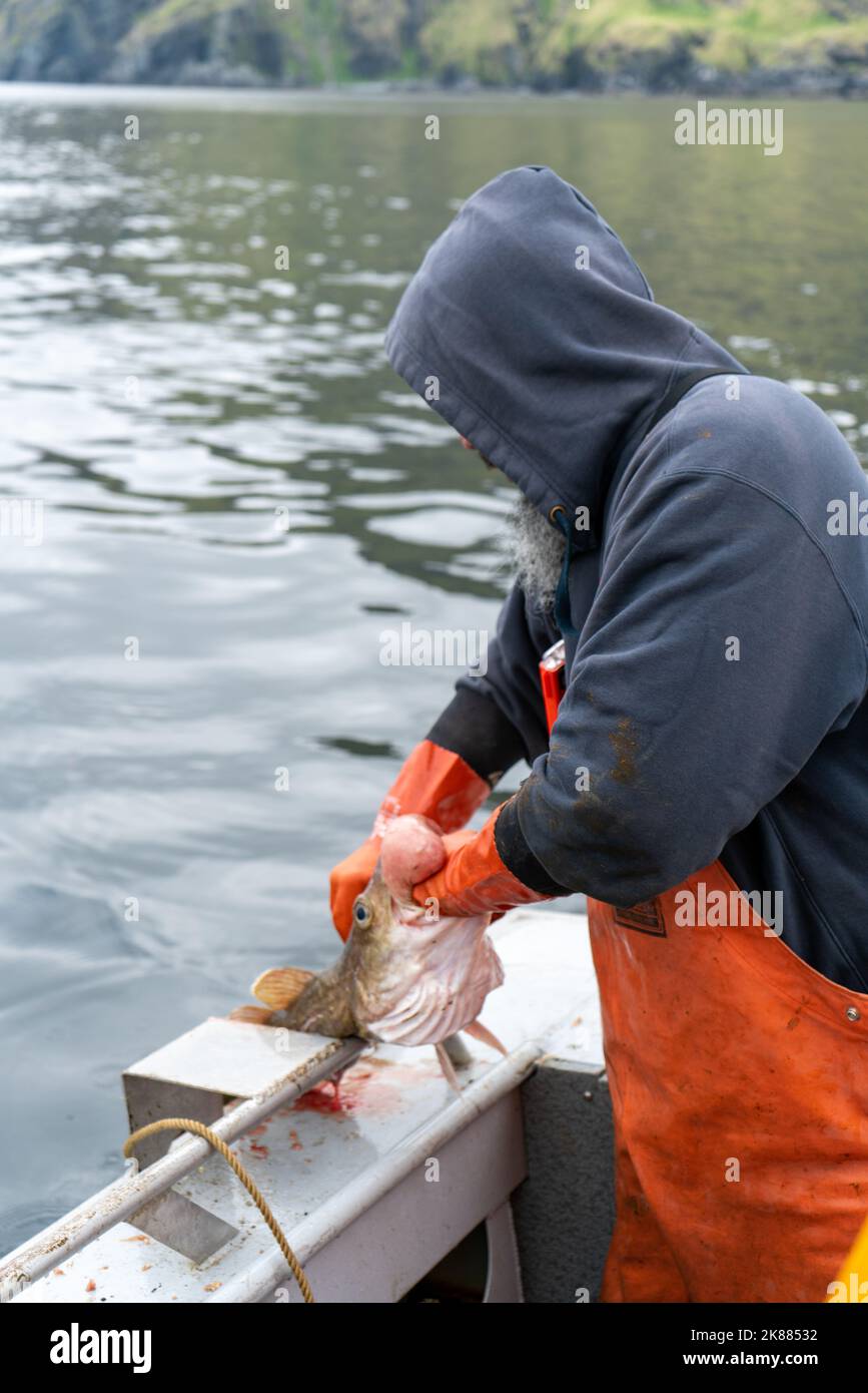 Adak island hi-res stock photography and images - Alamy