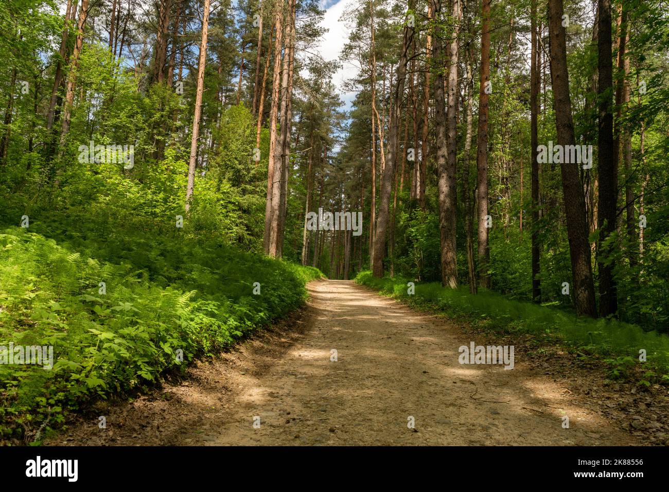 Country road in Park ,Golden autumn in October Stock Photo - Alamy