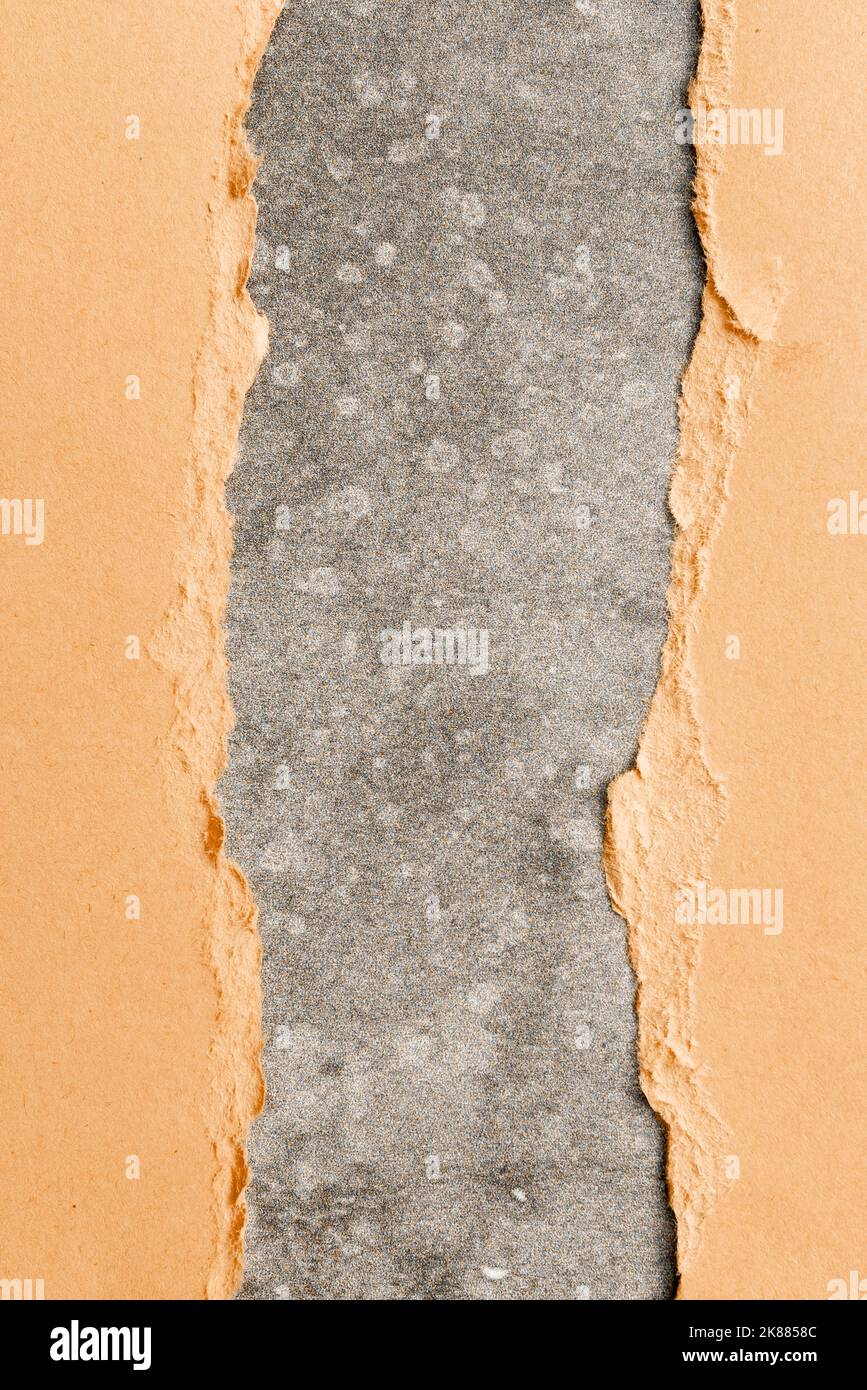 School design over beige hi-res stock photography and images - Alamy