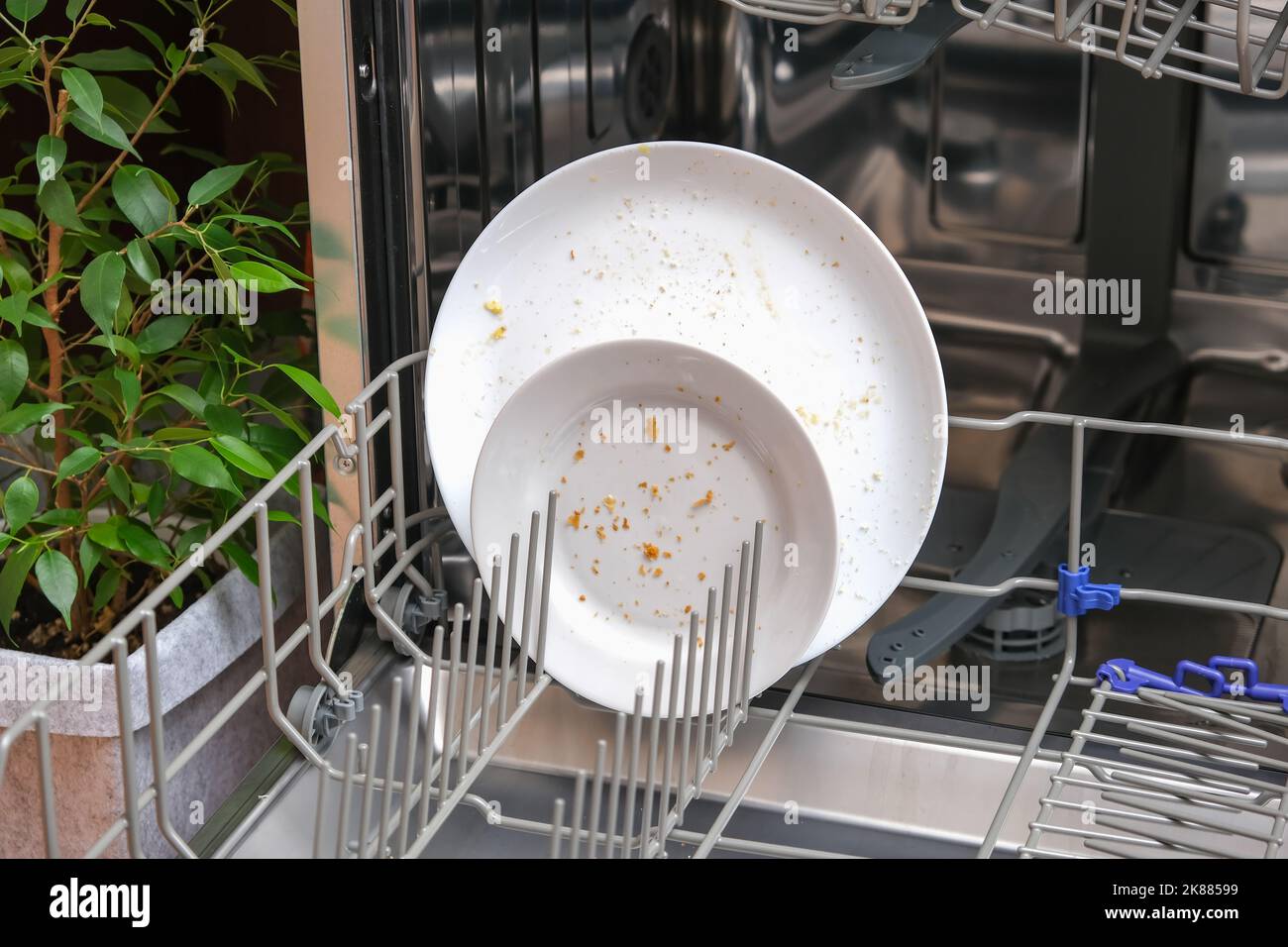 Loading the dishwasher with dirty dishes. Dirty white saucers ...