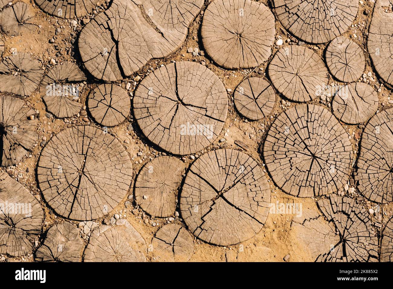 the old path is laid out of round wooden sections. Background of wooden ...