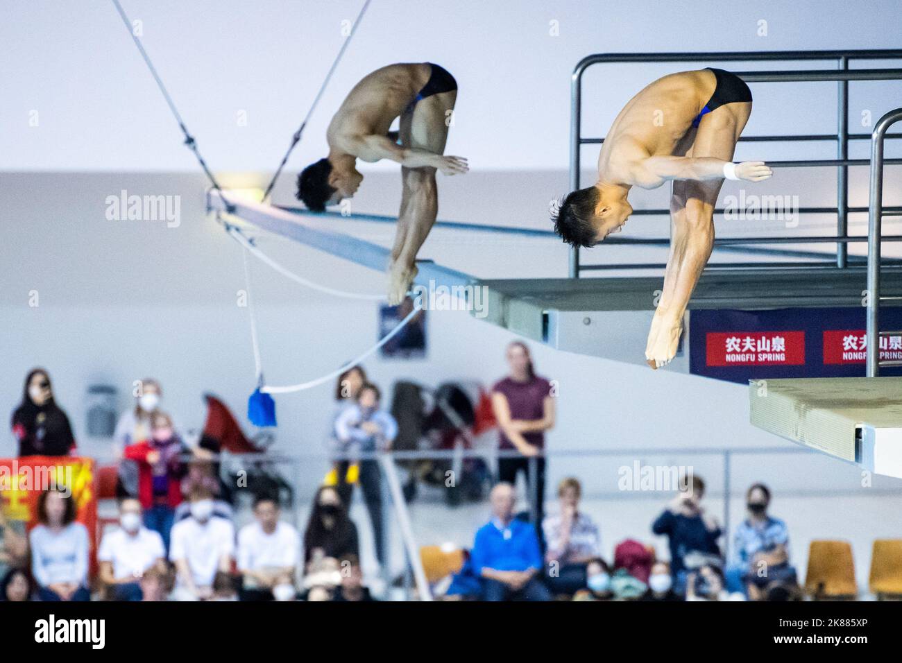 Berlin, Germany. 21st Oct, 2022. Water diving: World Cup, decisions ...