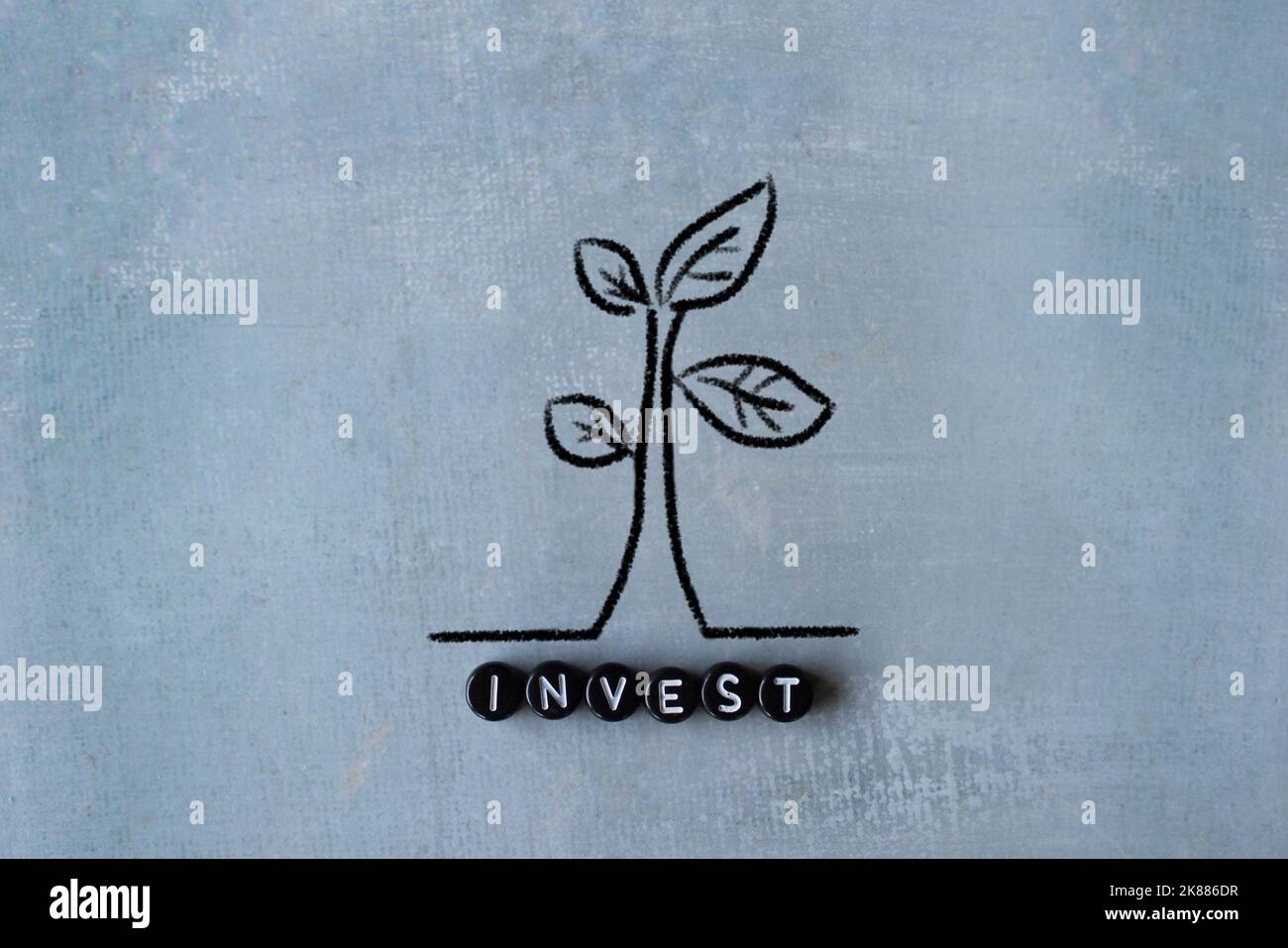 Top view image of text INVEST and drawing of growing tree plant with ...