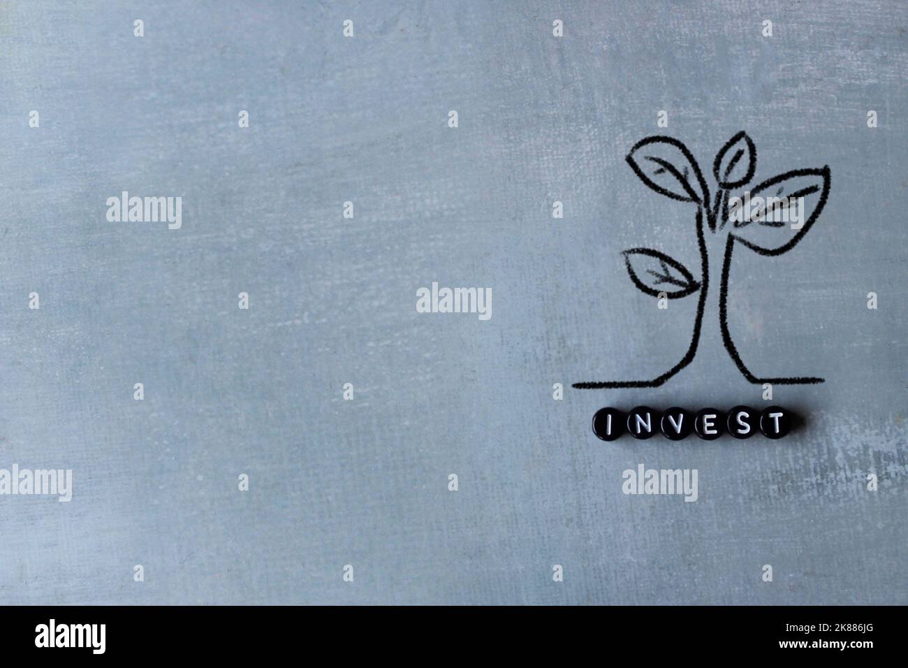 Top view image of text INVEST and drawing of growing tree plant with ...