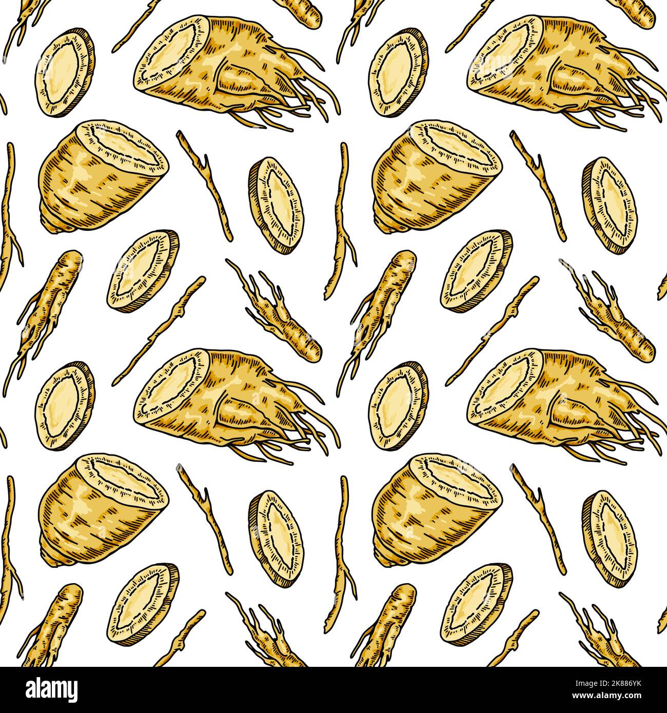 Colorful Hand drawn ginseng seamless pattern. Vector illustration in ...