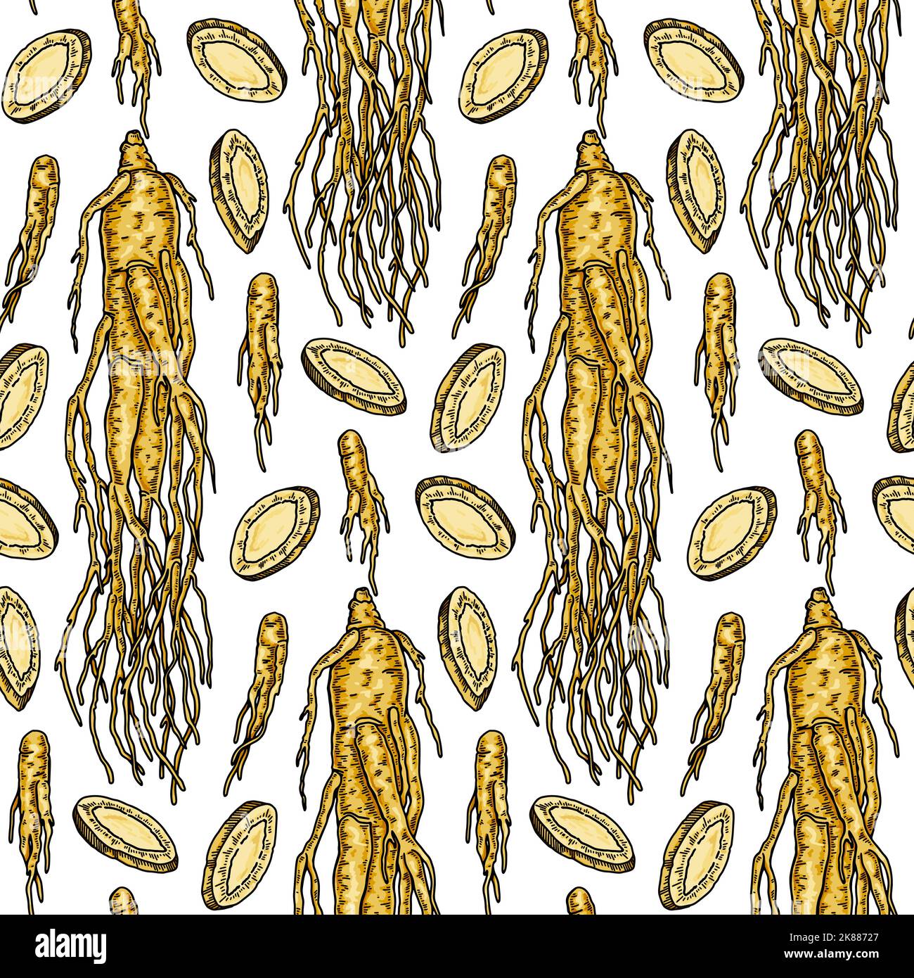 Colorful Hand drawn ginseng seamless pattern. Vector illustration in ...