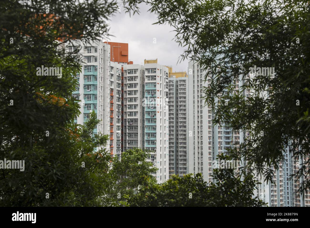 Buildings of the reconstructed Pak Tin Estate, a high density public ...