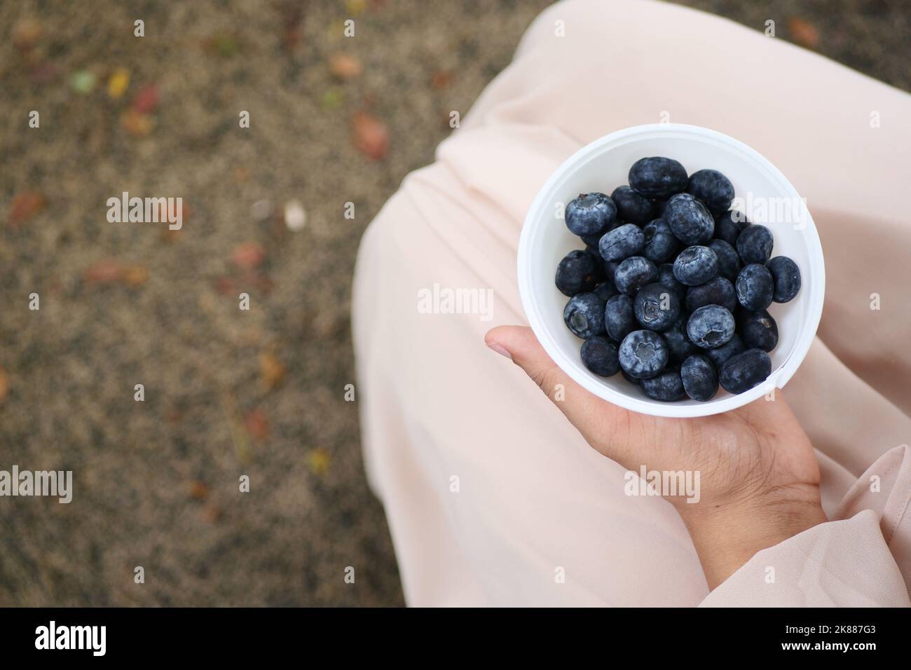 overhead view of women eating blue berry in nature Stock Photo - Alamy