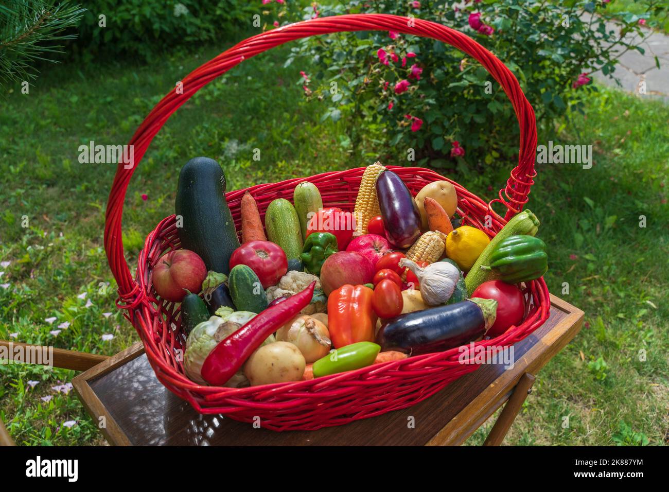 Fresh vegetables in a basket, in a summer garden, in a country house ...