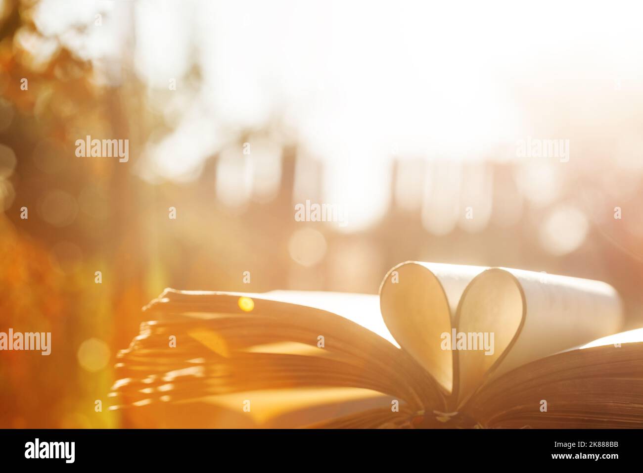 Blurred abstract heart background from book pages. Love education ...