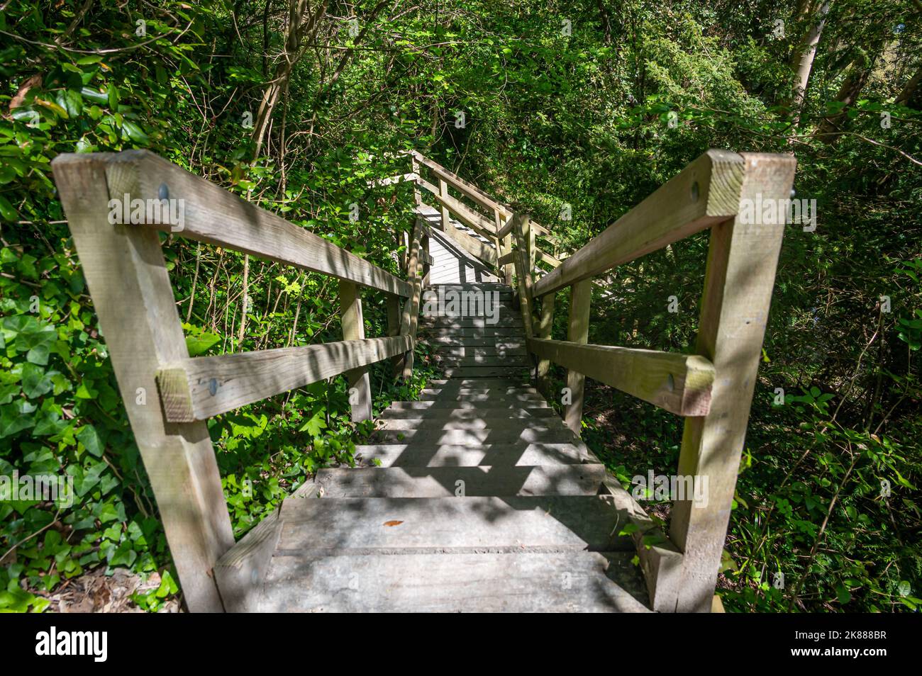 Isle of devils hi-res stock photography and images - Alamy