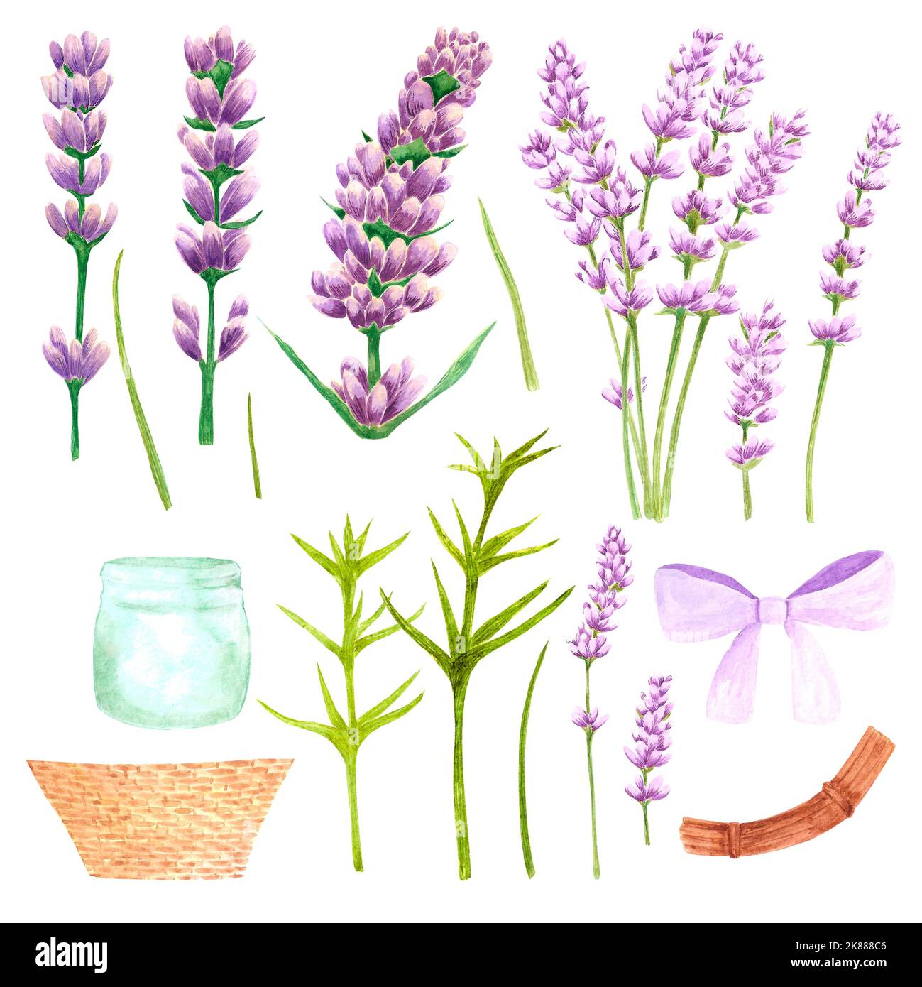 Handdrawn lavender flowers. Watercolor purple lavender set of elements ...