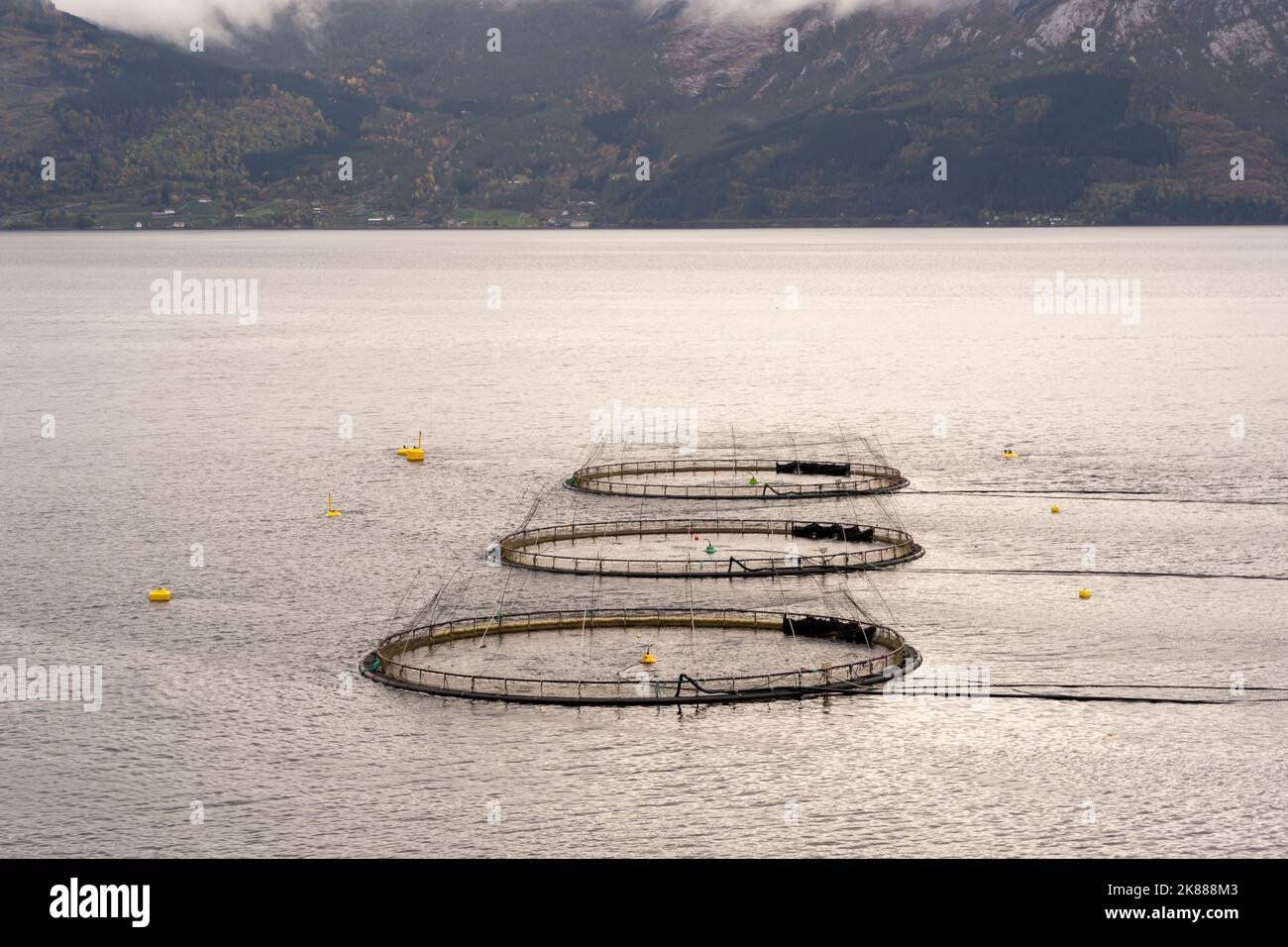 A salmon fish farm in Norway. Norway is the biggest producer of farmed ...