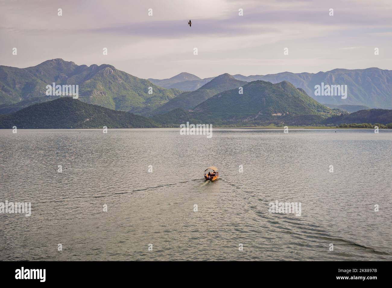 National Park Skadar Lake. Montenegro. Skadar lake. Dawn. View from ...