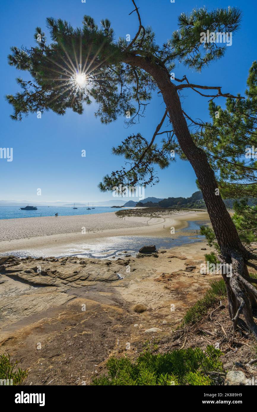 Beautiful Rodas beach in Cies Islands National Park in Vigo, Galicia ...