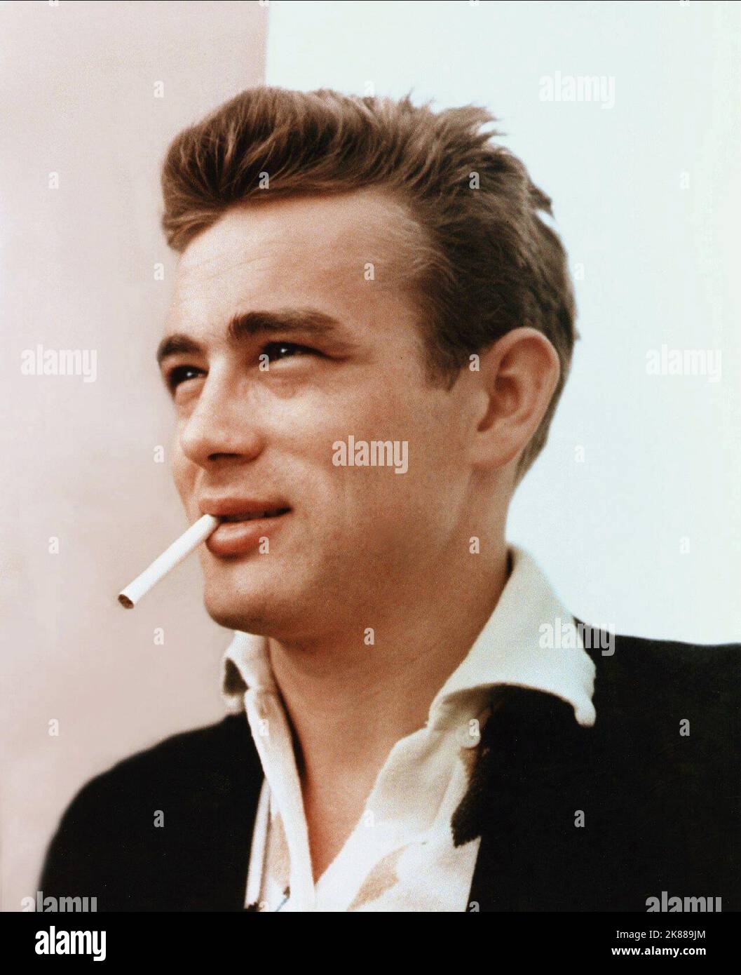 James Rebel's Instagram, Twitter & Facebook on IDCrawl