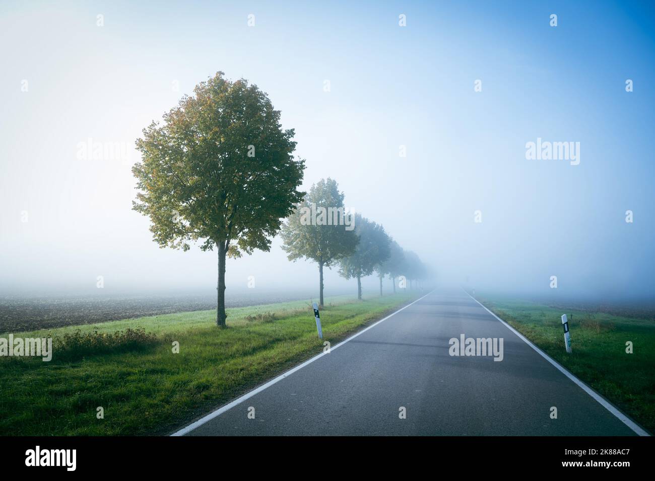 A country road between green fields runs clear view in opaque cold ...