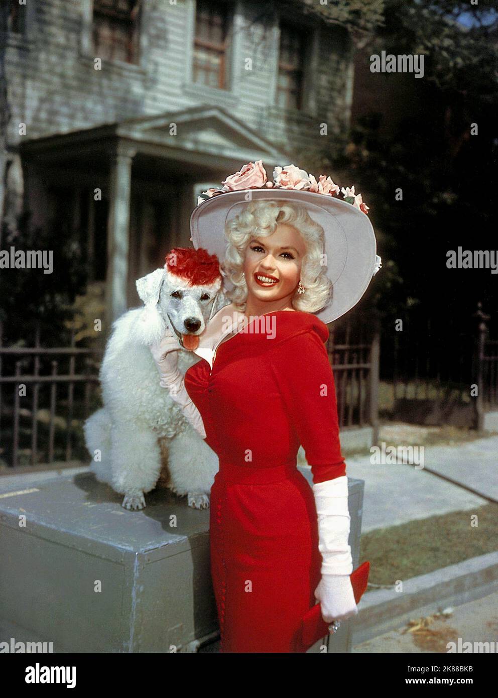 1957 jayne mansfield hi-res stock photography and images - Alamy