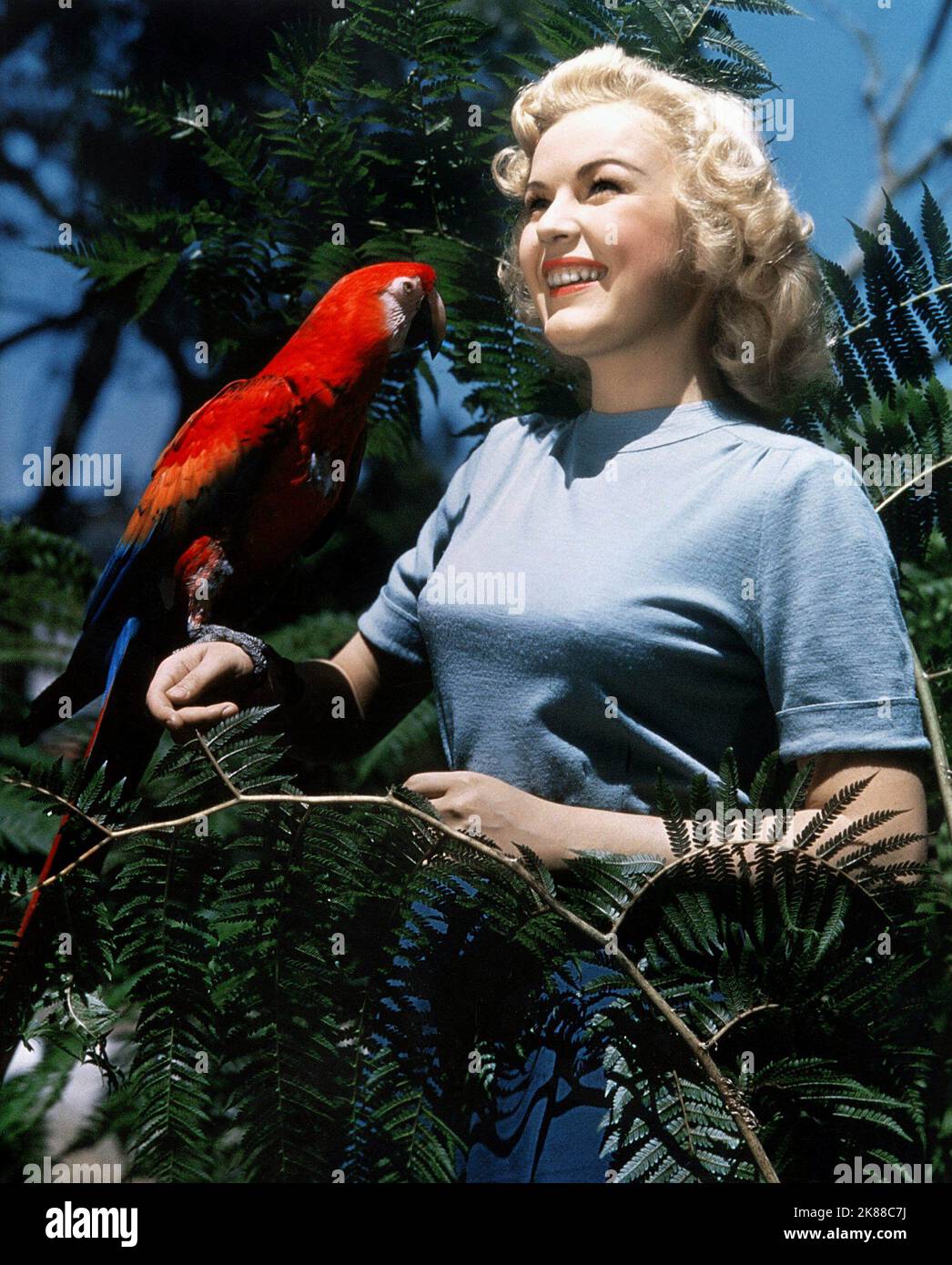June Haver Actress 01 May 1950 **WARNING** This Photograph is for ...