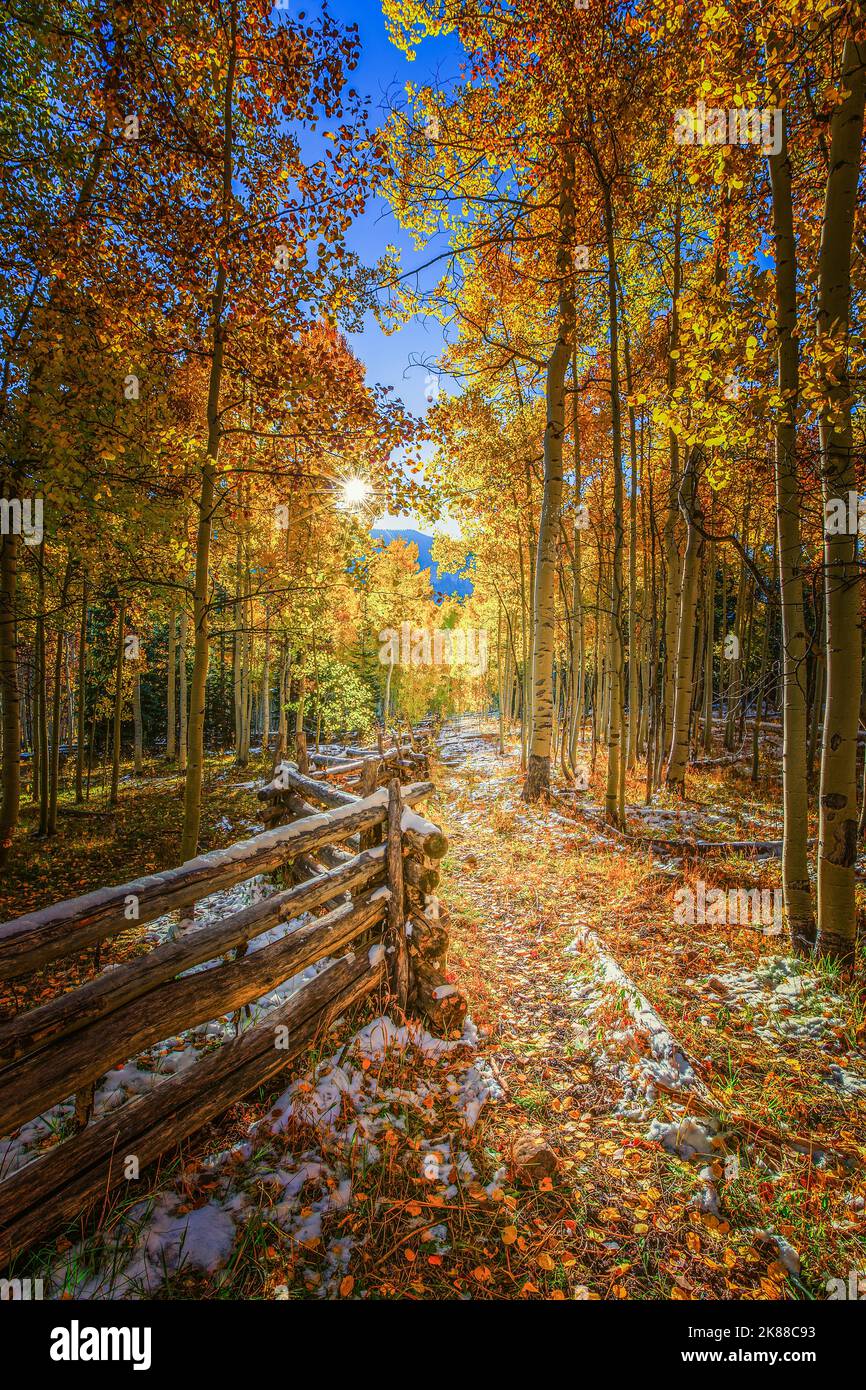 Silver jack reservoir owl hi-res stock photography and images - Alamy