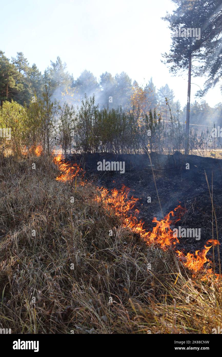 Igniting dangerous wildfire hi-res stock photography and images - Alamy
