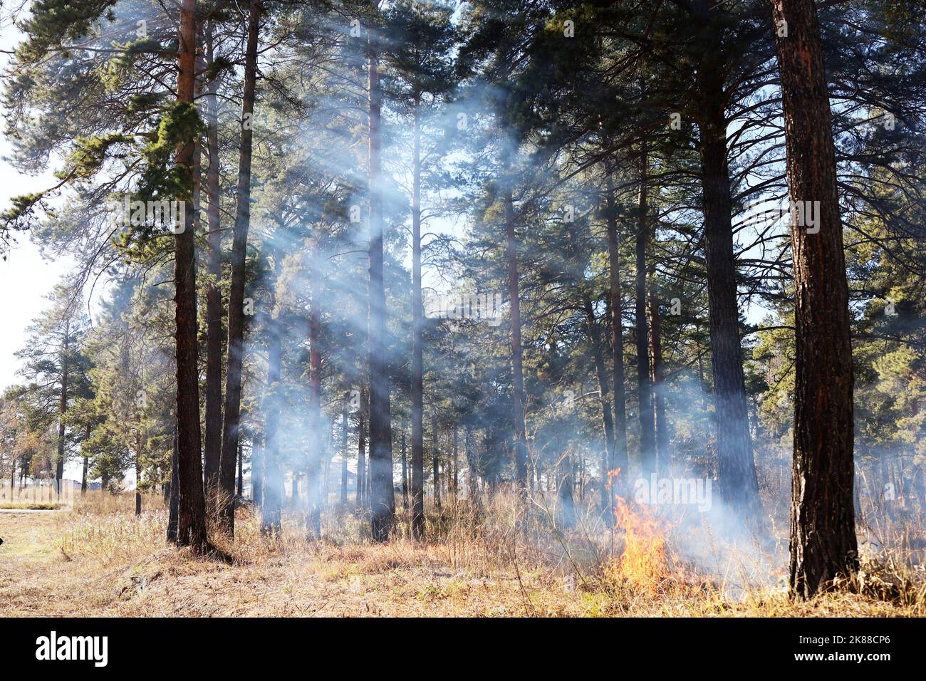 Fire in a clearing in a city park Stock Photo - Alamy