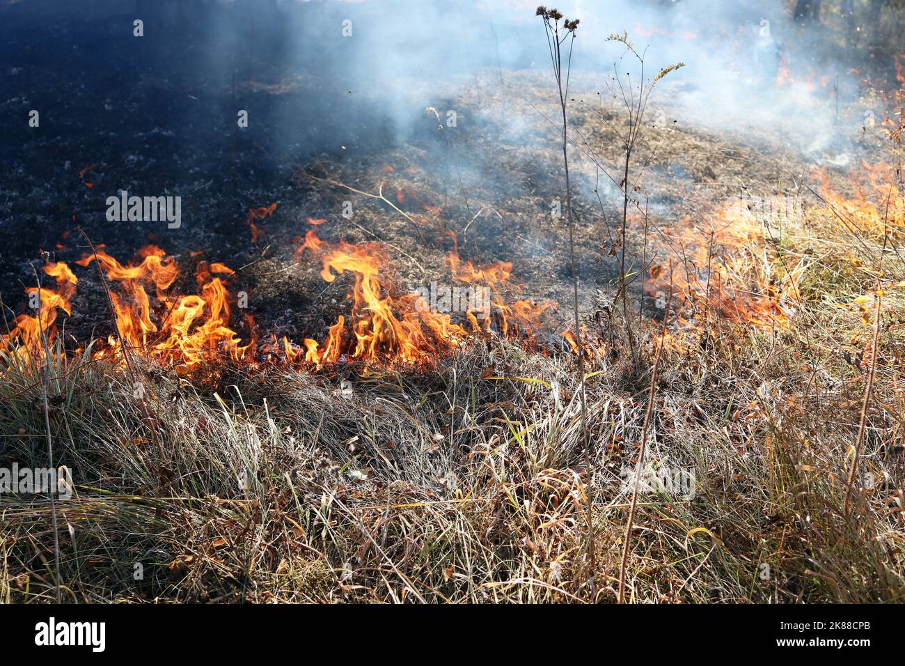 Fog clearing people hi-res stock photography and images - Alamy