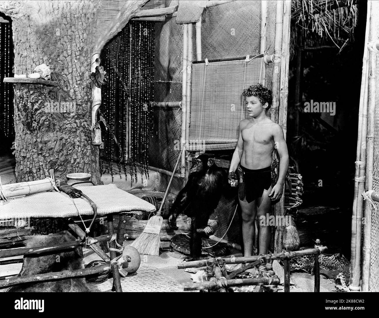 Johnny Sheffield & Chimp Characters: Boy & Tarzan And The Amazons (USA ...