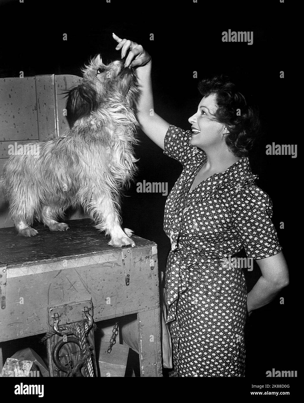 Shirley Booth Oscar Dress