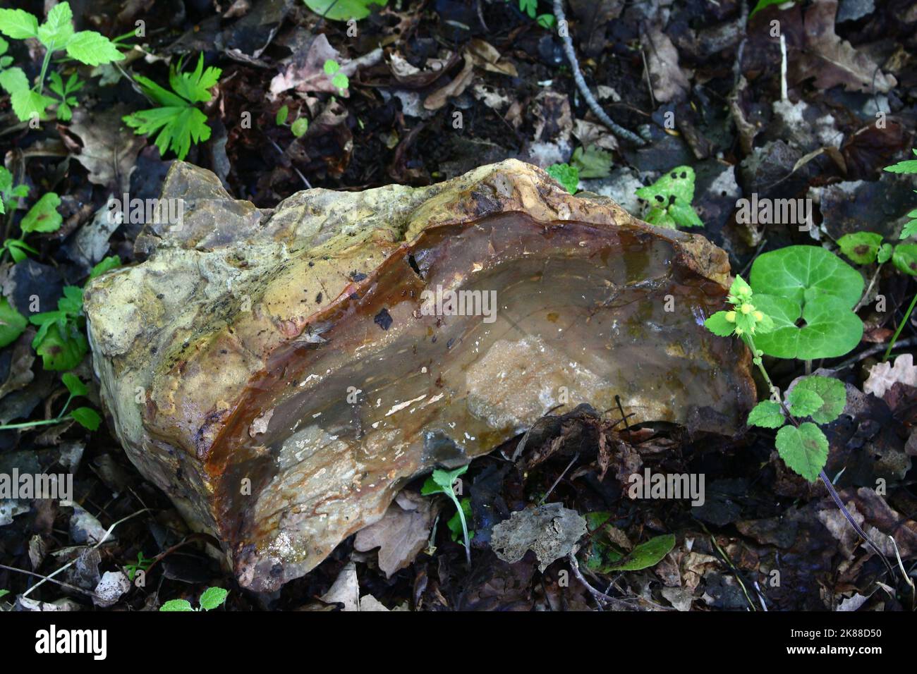 Large fragment of flint nodule on the ground, Russia Stock Photo - Alamy