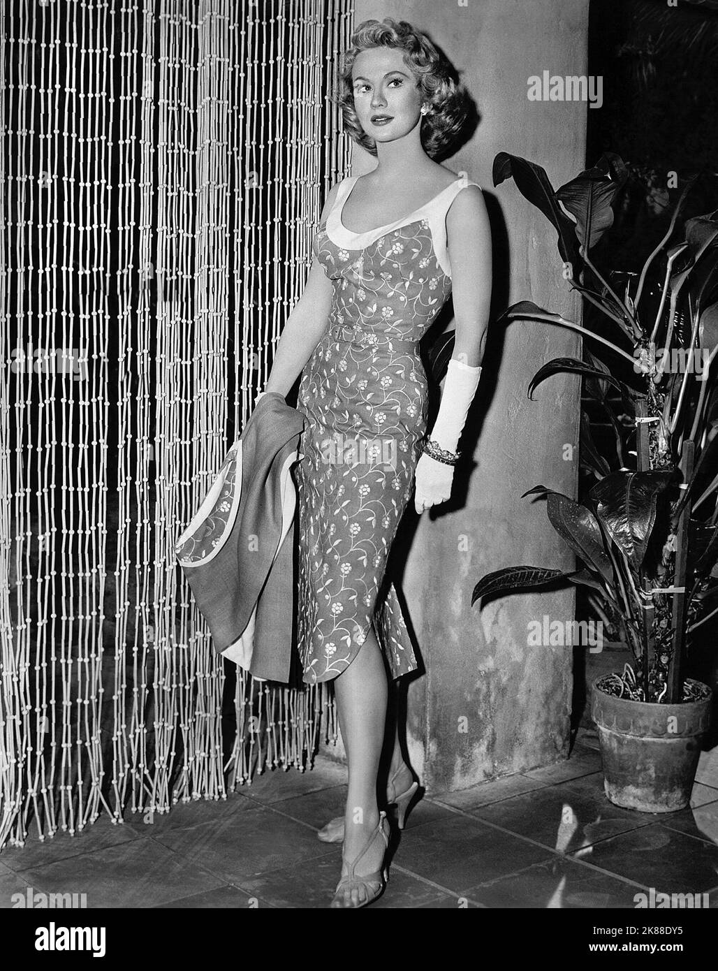 Virginia Mayo Actress 01 May 1955 **WARNING** This Photograph is for ...