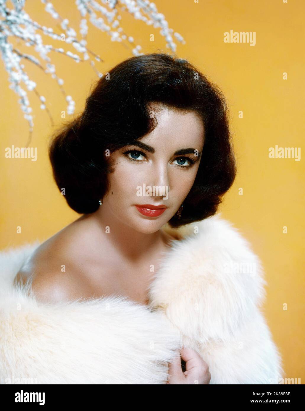 Actress elizabeth taylor 1950 hi-res stock photography and images - Alamy