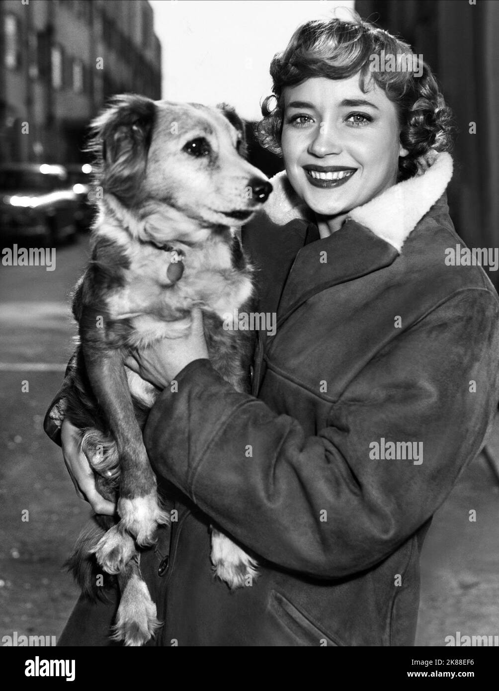 Actress sylvia syms hi-res stock photography and images - Alamy