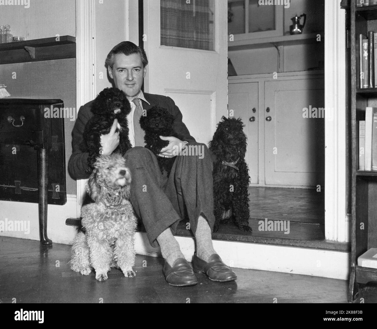 Hugh Williams With Dogs Actor 01 May 1948 **WARNING** This Photograph ...