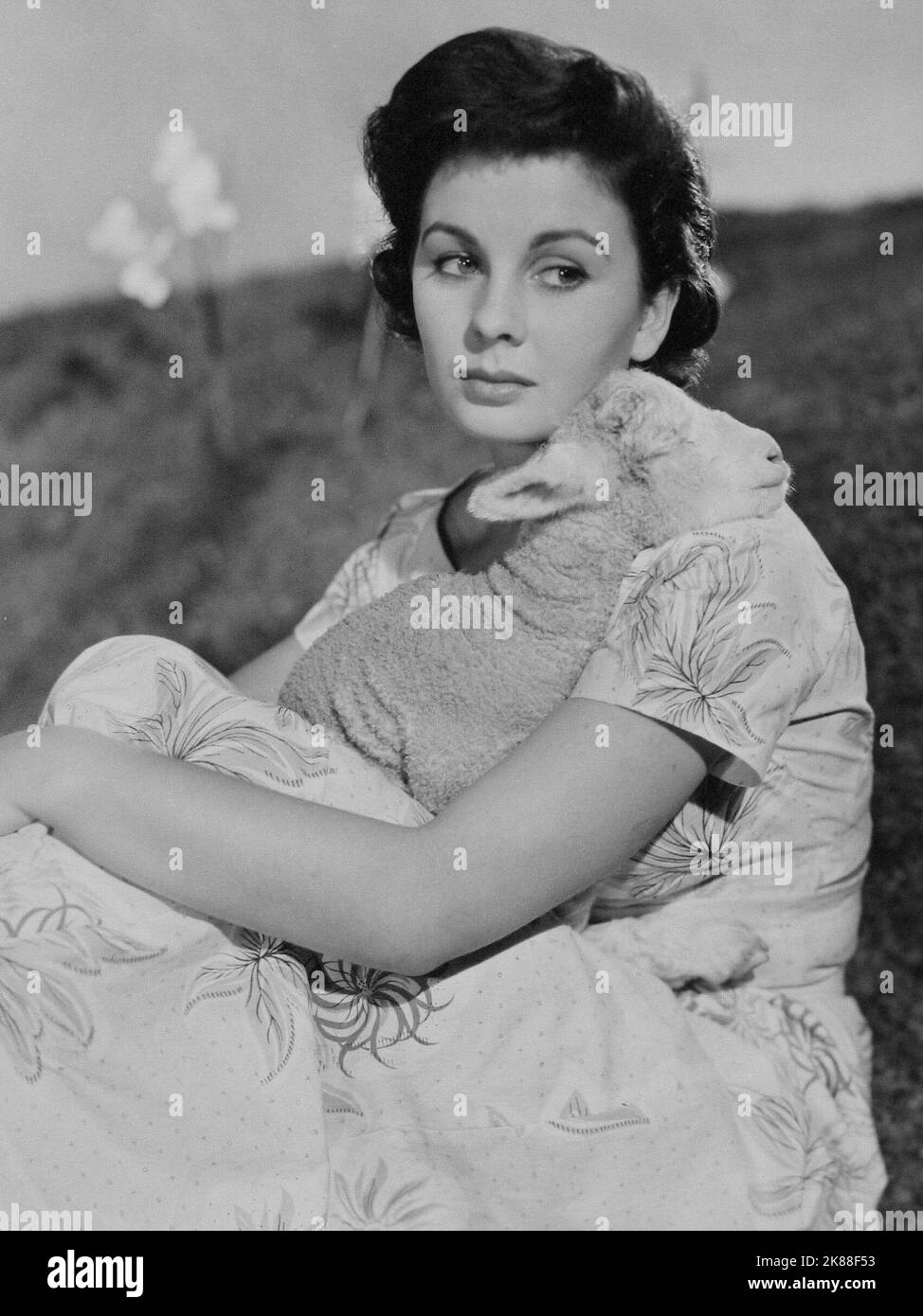 Jean Simmons & Lamb Actress 01 May 1948 **WARNING** This Photograph is ...