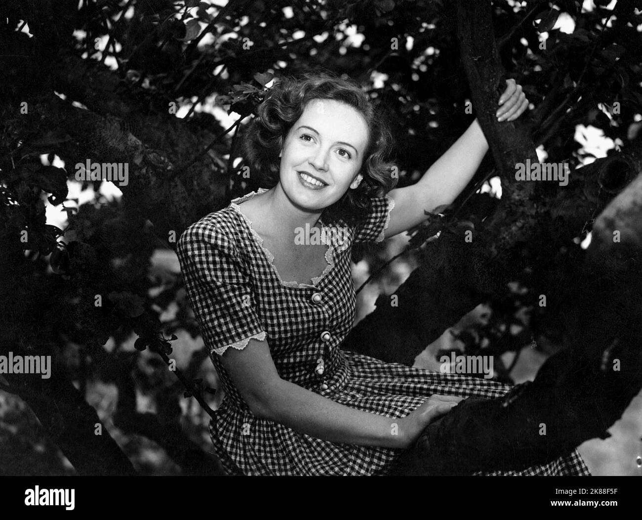 Phyllis Calvert In Tree Actress 01 May 1948 **WARNING** This Photograph ...