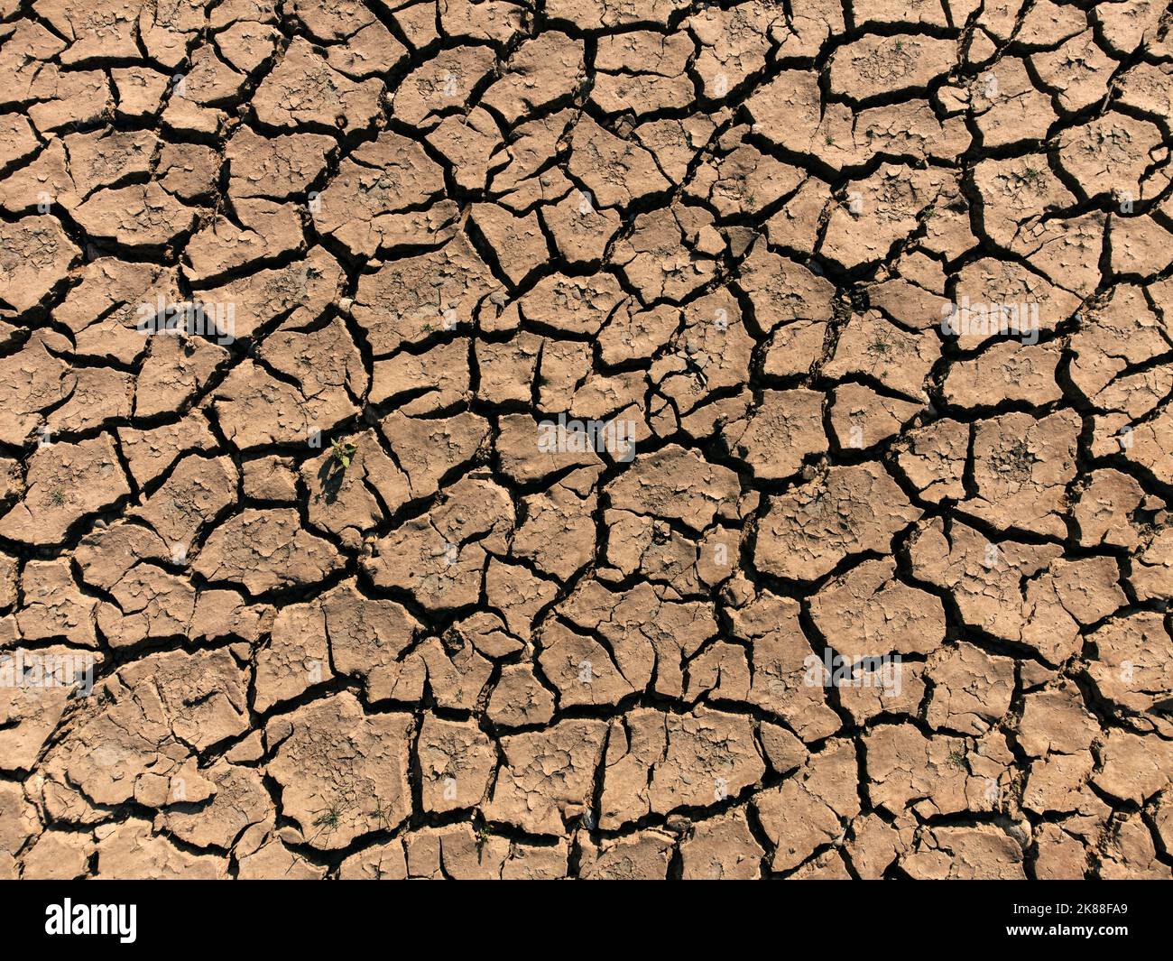 Close up shot of drought, dried soil photographed from top view Stock ...
