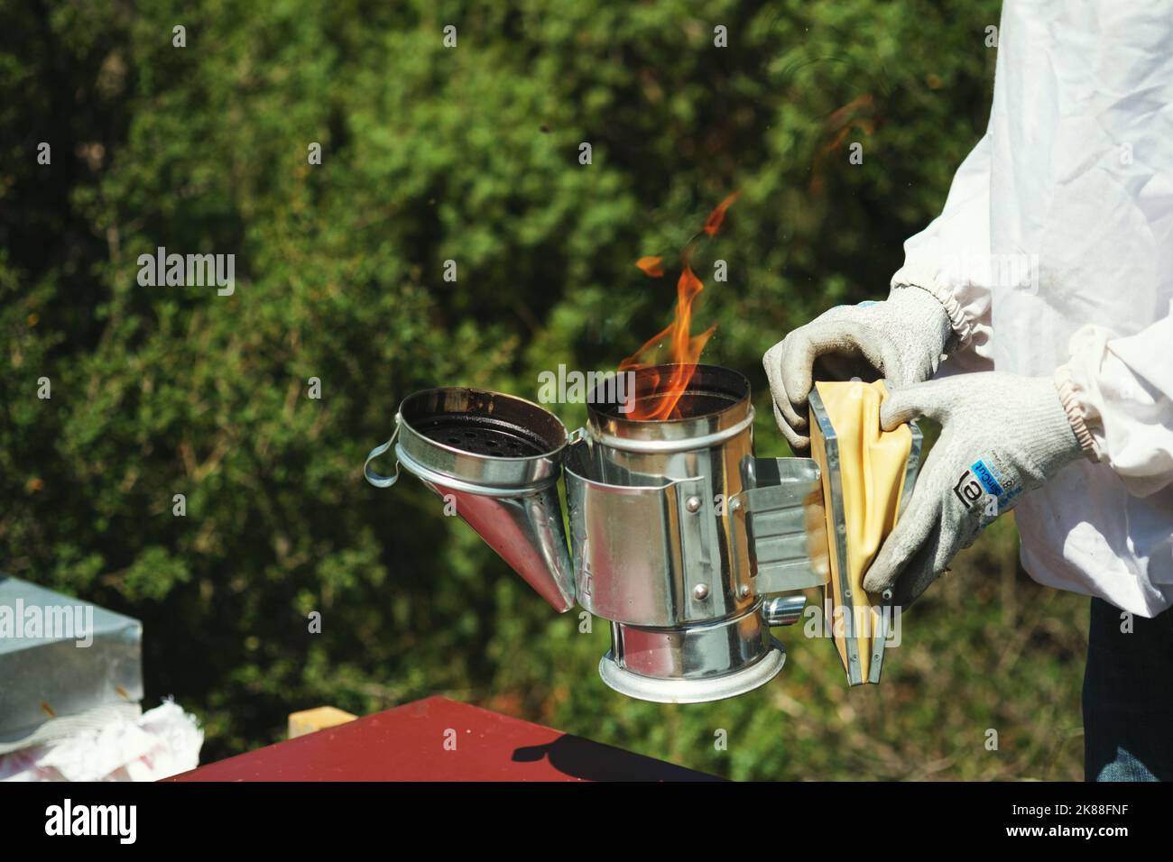 Beekeeper preparing the bee bellows for use Stock Photo - Alamy Beekeeper preparing the bee bellows for use Stock Photo - Alamy